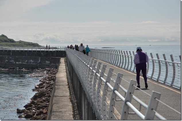 Ogden Point – the railing | Katherine Bickford