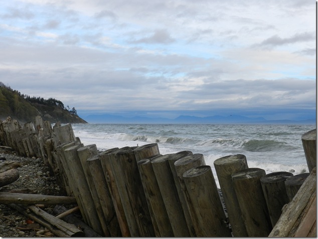 A coastal moment – Goose Spit | Katherine Bickford