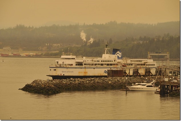 Queen Of Burnaby – Westview Terminal | Katherine Bickford