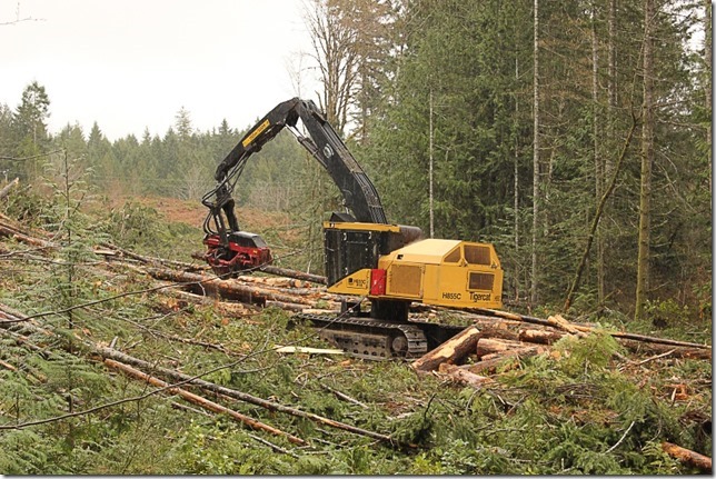Comox Lake Logging | Katherine Bickford