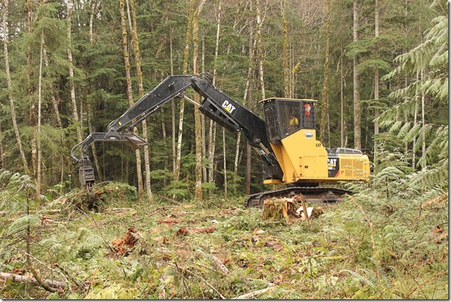 Comox Lake Logging | Katherine Bickford
