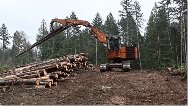 Comox Lake Logging | Katherine Bickford