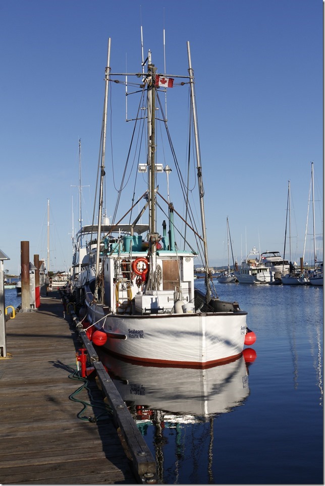 Seabeam | Katherine Bickford