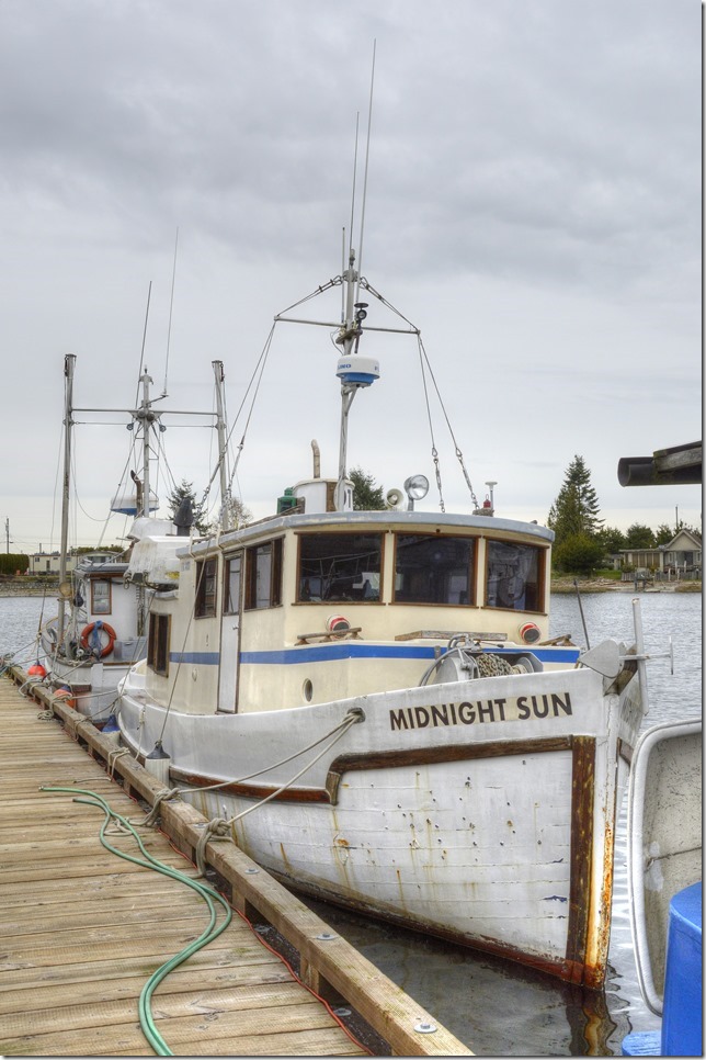 Midnight Sun | Katherine Bickford