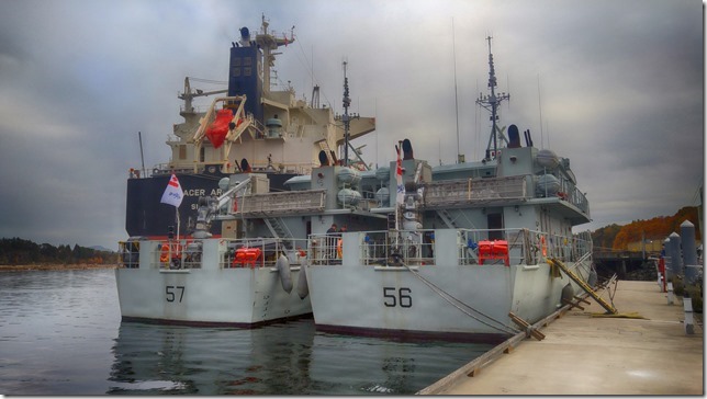 Raven and Caribou | Katherine Bickford