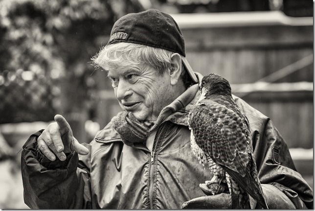 The bird handler – Katherine Bickford