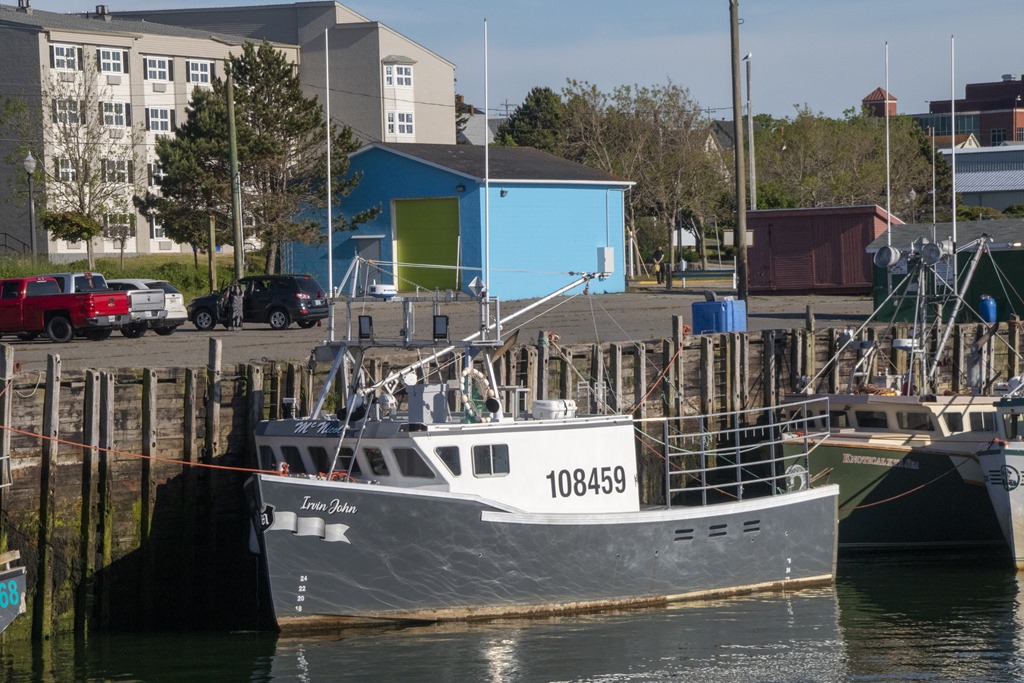 Fallen Angel | Katherine Bickford