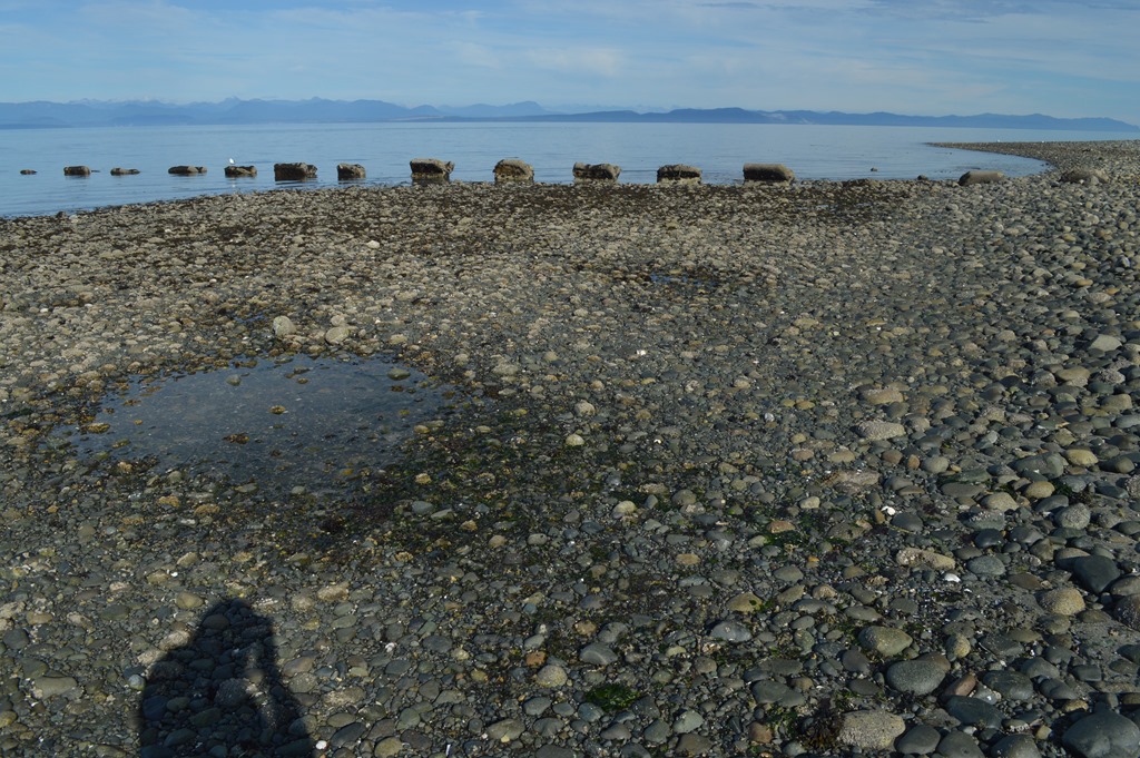 Kin Beach | Katherine Bickford