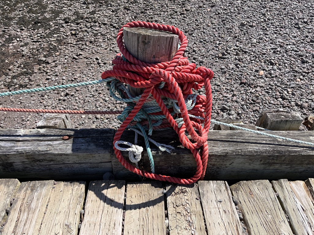 A Jumble Of Ropes | Katherine Bickford